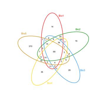 上海盈飞生物科技有限公司