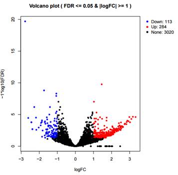 上海盈飞生物科技有限公司