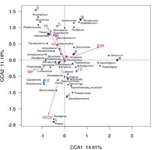 上海盈飞生物科技有限公司